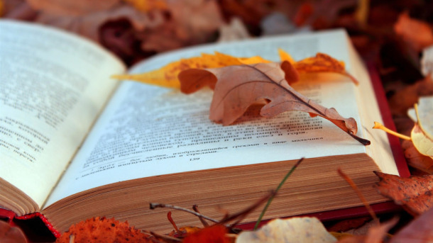 16 Favorite Books to Read During the Fall - Goodreads News & Interviews