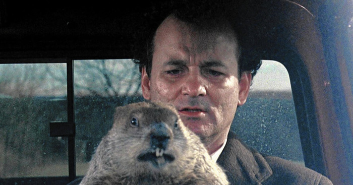 Six More Weeks of Winter? Here Are Books to Read for Every Groundhog ...