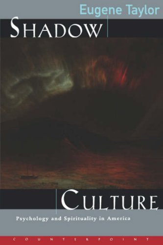 Shadow Culture: Psychology and Spirituality in America by Eugene Taylor