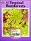 Picture Books About Rainforests (52 books)