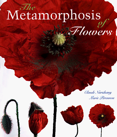 The Metamorphosis Of Flowers by Claude Nuridsany