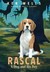 Rascal: A Dog and His Boy by Ken Wells — Reviews, Discussion, Bookclubs ...