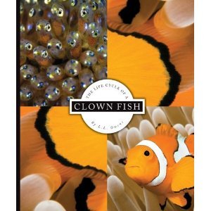 The Life Cycle of a Clown Fish by L.L. Owens