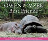 Owen and Mzee: The True Story of a Remarkable Friendship by Isabella ...