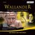 Kurt Wallander series by Henning Mankell