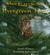 Where Would I Be in an Evergreen Tree? by Jennifer Blomgren — Reviews ...