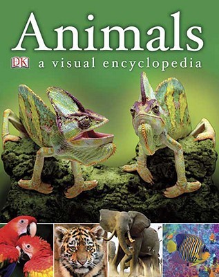 Animals: A Visual Encyclopedia by Ann Baggaley