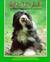 Rosie: A Visiting Dog's Story by Stephanie Calmenson — Reviews ...