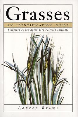 Grasses: An Identification Guide by Lauren Brown