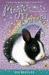 Holiday Dreams (Magic Bunny, #2) by Sue Bentley