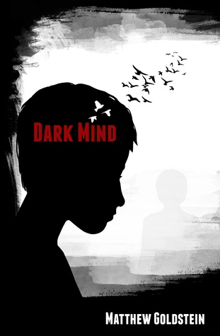 Dark Mind (The Dark Mind Trilogy, #1) by Matthew Goldstein