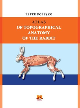 ATLAS OF TOPOGRAPHICAL ANATOMY OF THE RABBIT by Peter Popesko