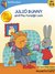 Julio Bunny and the Pirate Ship by Nicoletta Costa