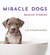 Popular Animal Rescue Books