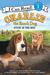 Charlie the Ranch Dog: Rock Star by Ree Drummond
