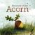 Because of an Acorn by Lola M. Schaefer — Reviews, Discussion ...