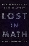 Review: Lost In Math - The Y Logs