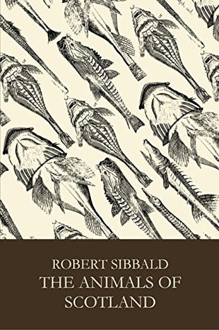 The Hierarchy of Birds | Natural History