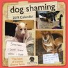 Dog Shaming by Pascale Lemire
