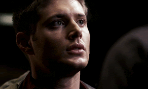 Fandoms, Ships and Fangirling - Supernatural: The Winchester Brothers ...