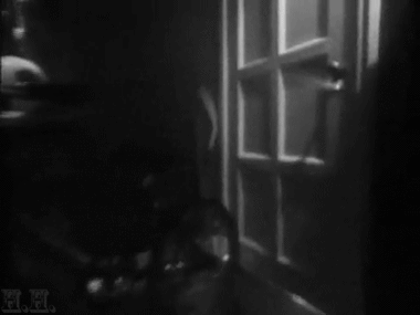 Bird Box by Josh Malerman