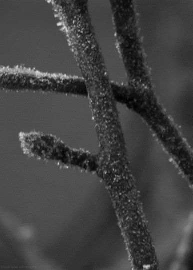 A Strong and Sudden Thaw (A Strong and Sudden Thaw, #1) by R.W. Day ...