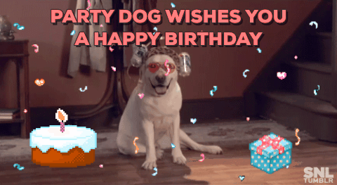 Jeaniene Frost's Blog - Happy Birthday, Gypsy! - February 24, 2018 06:50