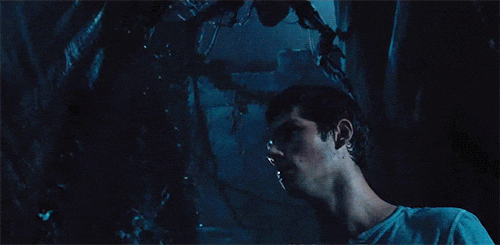 The Echo Room by Parker Peevyhouse | Goodreads