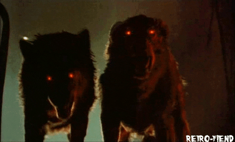 Blood and Bite (Rune Alexander, #2) by Laken Cane | Goodreads