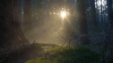 The Longest Night of Charlie Noon by Christopher Edge | Goodreads