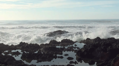 All The Things We Never Said by Yasmin Rahman | Goodreads