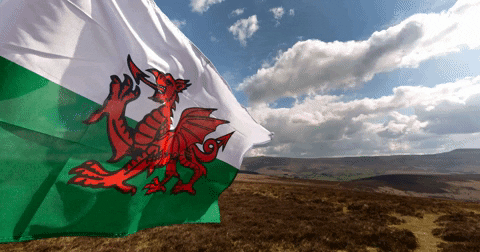 The Welsh Lord's Convenient Bride by Lissa Morgan | Goodreads