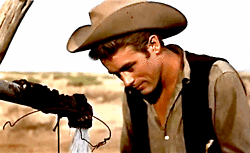 The Cowboy and the Rascal (Farthingdale Valley #1) by Jackie North ...