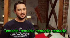 Orc Pirate Captain Falchion by Twila Tewson | Goodreads