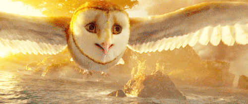 The War of the Ember (Guardians of Ga'Hoole, #15) by Kathryn Lasky ...