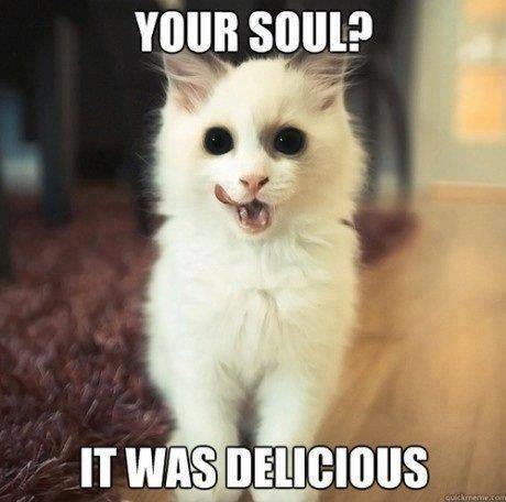 Photos of Pyxi Rose - photo 632786