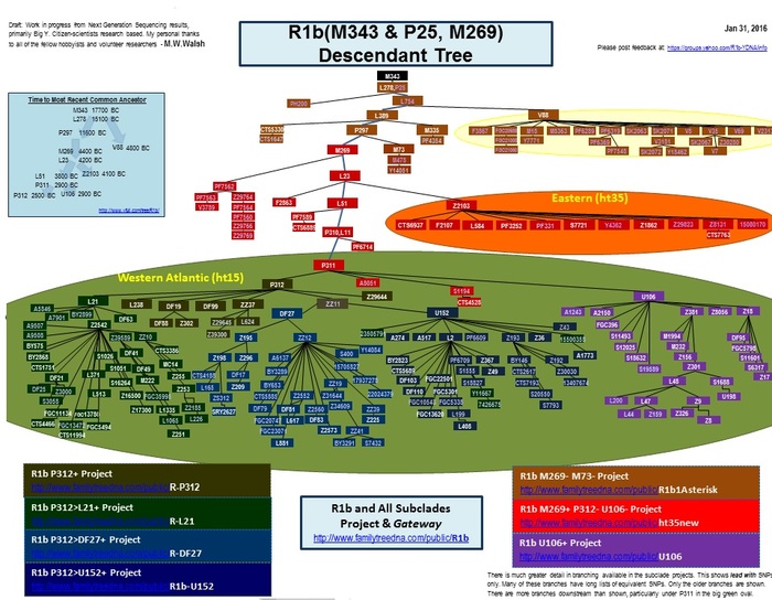 Related Family Tree Surnames of R1b-M269 DNA Haplogroup – The ...