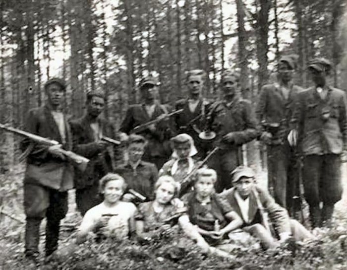 In the Land of Armadillos: Stories by Helen Maryles Shankman | Goodreads