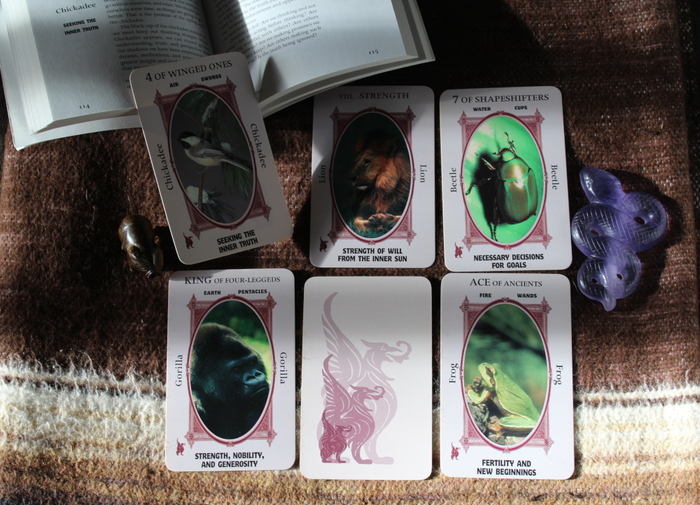 The Animal-Wise Tarot by Ted Andrews | Goodreads