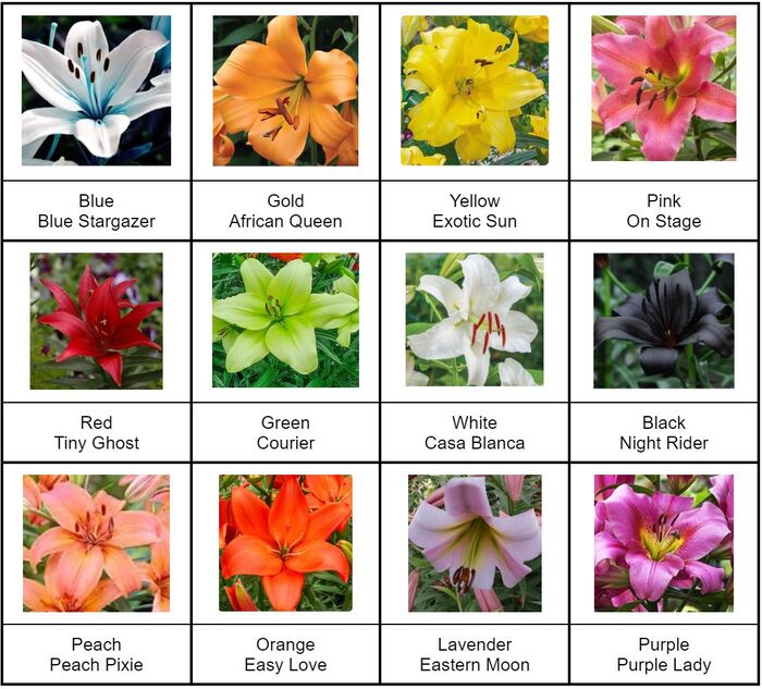 2025 Reading Challenge - ARCHIVE: Monthly Challenges: May - A Bouquet ...