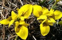 Kathy Andrews - The United States (252 books)