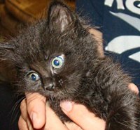 Rachel Eads - The United States (123 books)