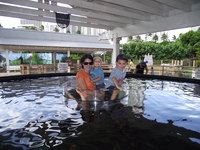 Jessica Starcher - The United States (570 books)