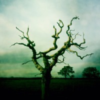 Stephen Roe - Leeds, H3, The United Kingdom (153 books)