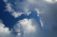 Sarah Bodney - Tucson, AZ (999 books)