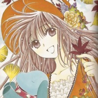 Lady Book (251 books)