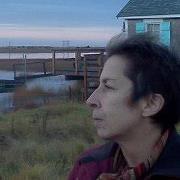 Colleen Flannery - Knoxville, TN (11 books)