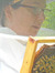 Literary Trails of the North Carolina Mountains: A Guidebook by ...
