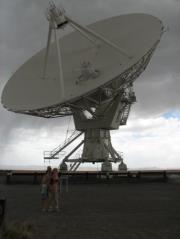 Jamie Bradford - Chandler, AZ (647 books)