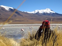 Morgan (morganism) - Washington, DC (1,017 books)